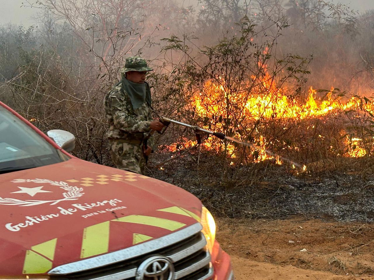¿Puede la educación evitar más incendios forestales en Paraguay? - # ...