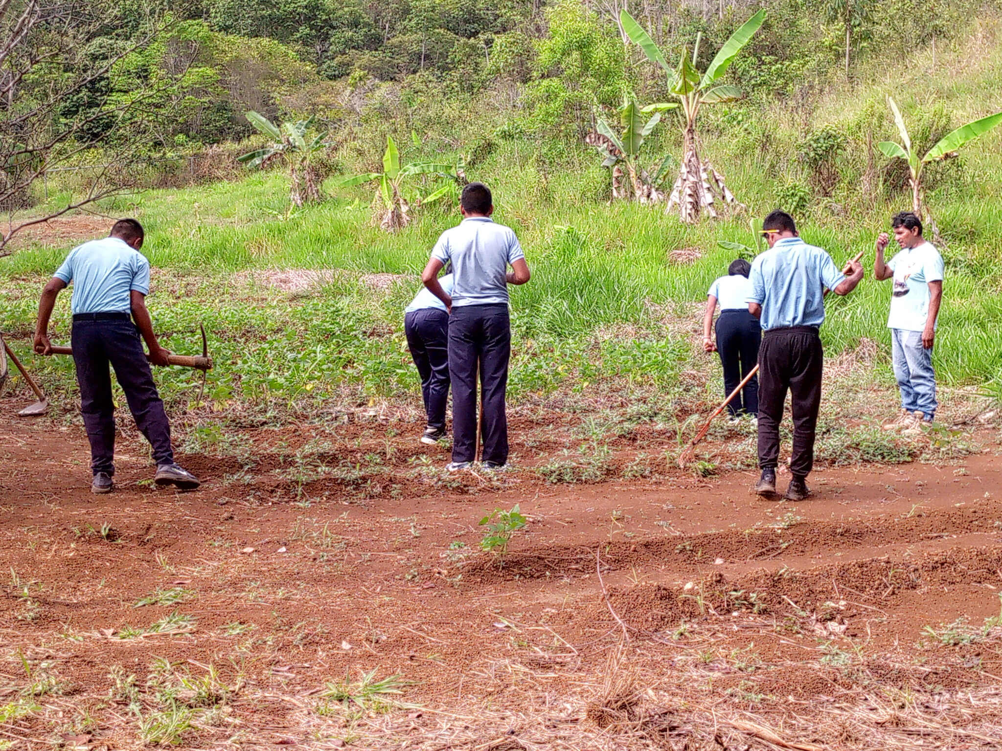 Escuela Técnica Manak Krü incorpora modelo de agricultura orgánica - Fe ...